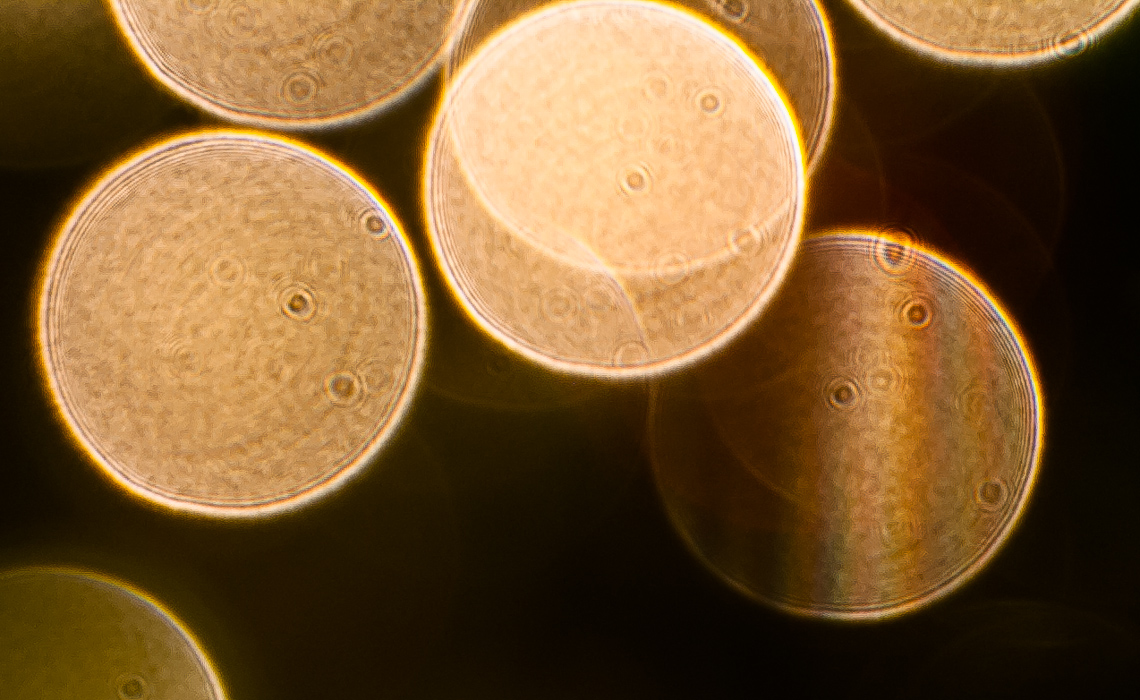 The Diffraction Myth | Nature Photography