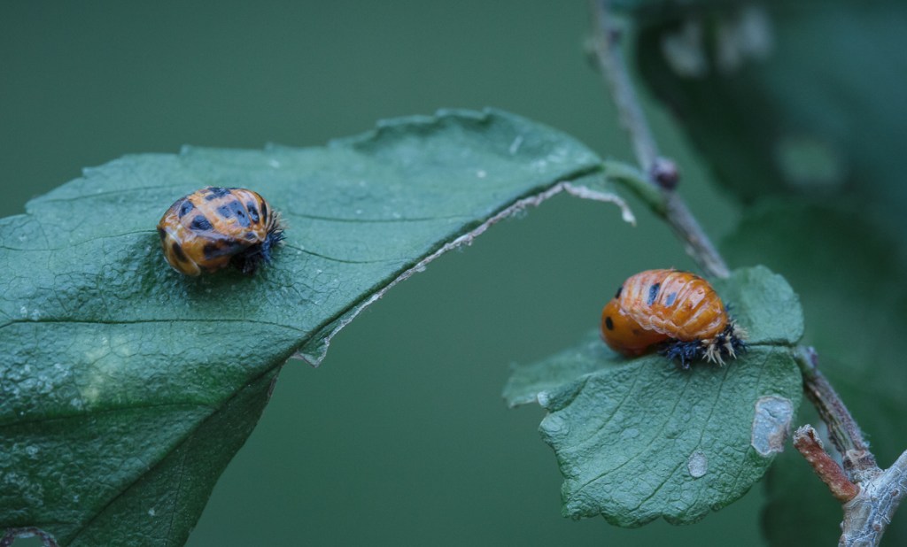 Nature Photography | Nature Photography